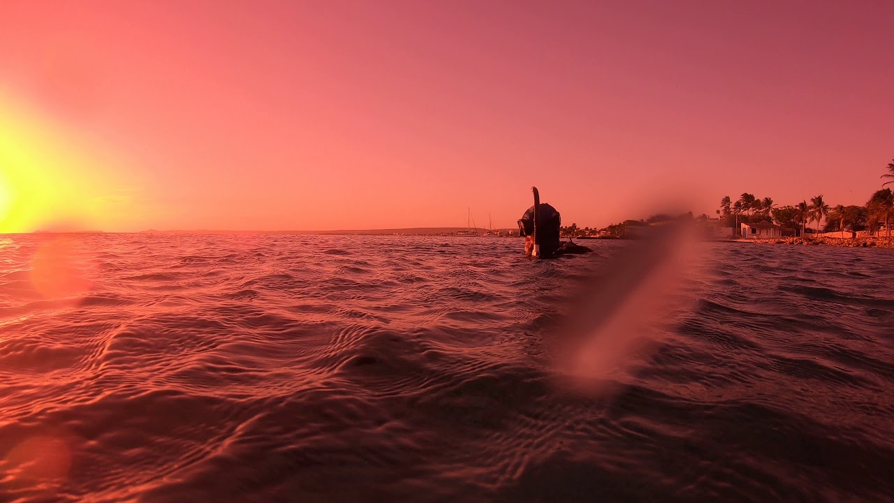 deep dive 7 - YouTube