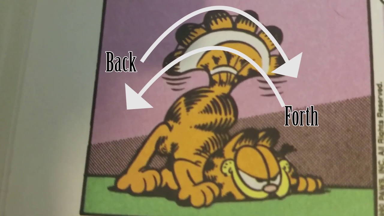 GARFIELD COMIC STRIP REVIEW: BIRDWATCHING - YouTube