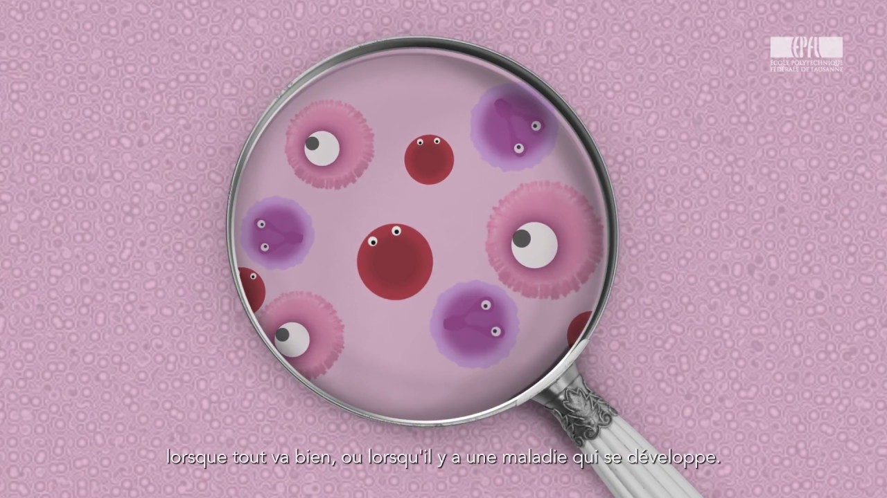Prof. Etienne Meylan - EPFL SV - Neutrophiles - YouTube