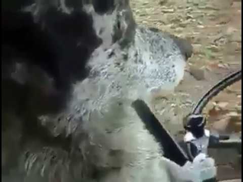 Herkes Ekmeğinin Derdinde :)