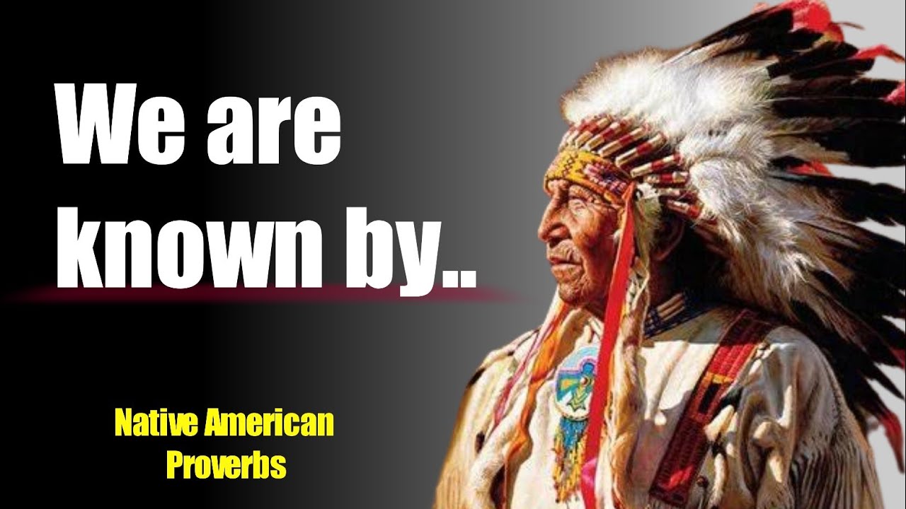 Native American wise proverbs quotes and sayings|Life changing quotes ...
