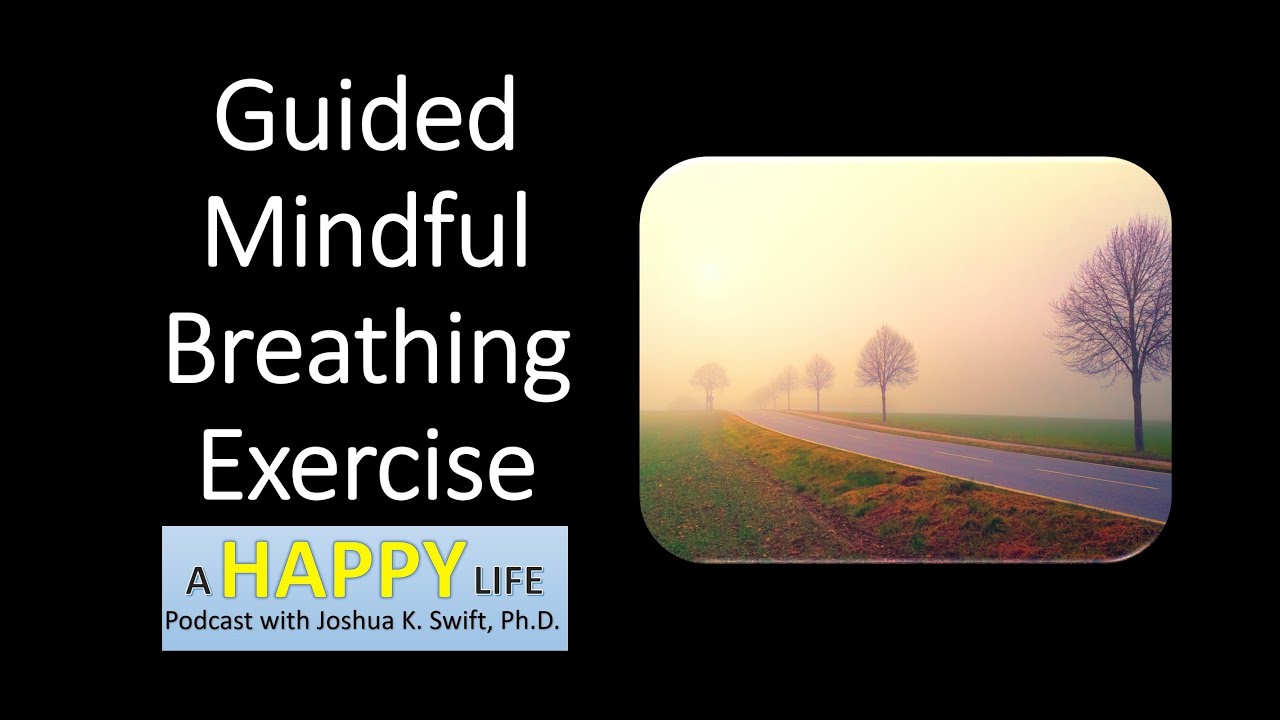 Free 5 Minute Guided Mindful Breathing Exercise - YouTube