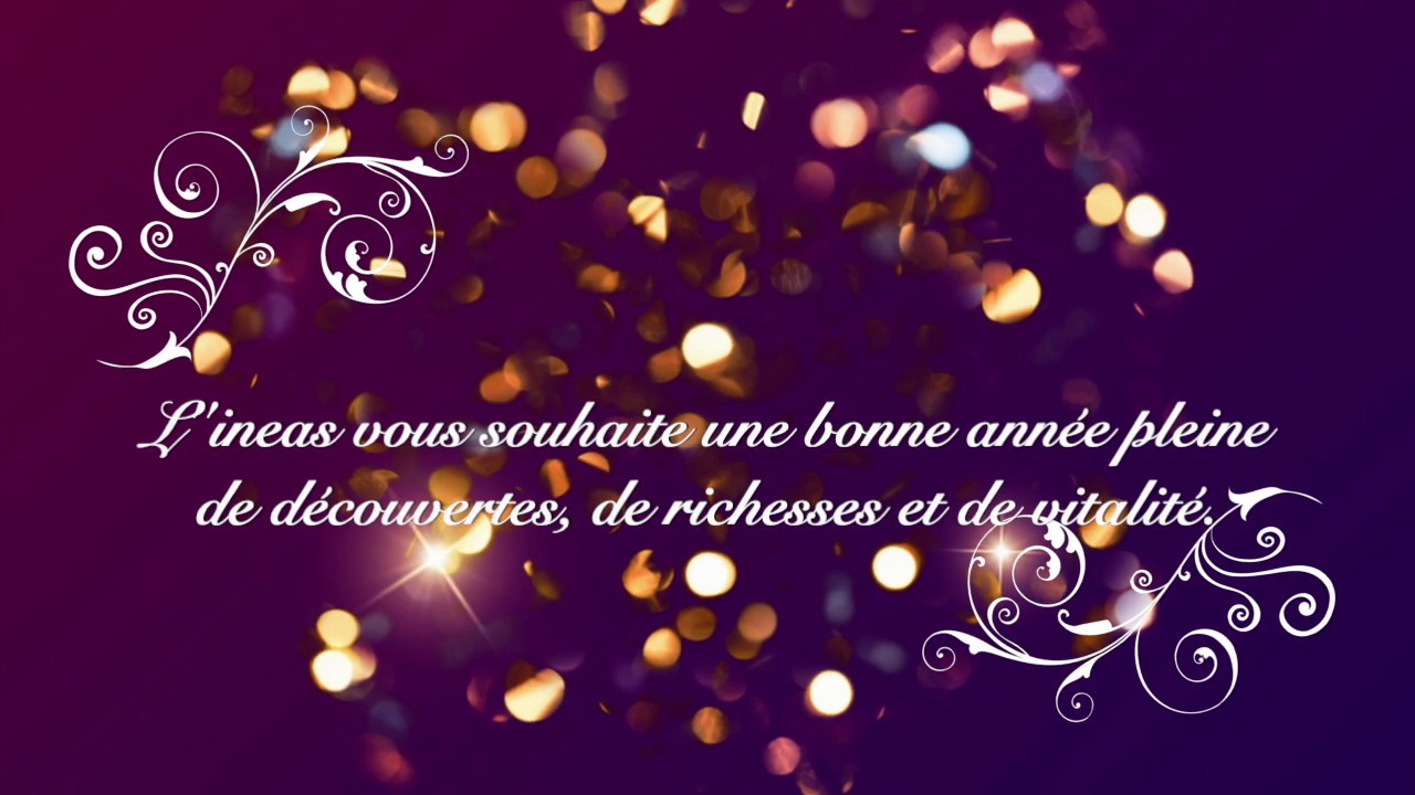 INEAS vous souhaite une bonne et heureuse année 2020 - YouTube