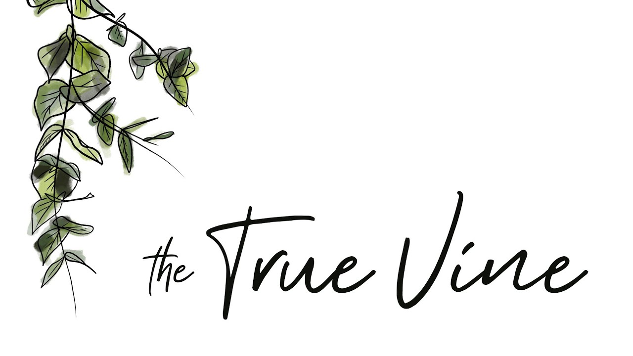 The True Vine - YouTube