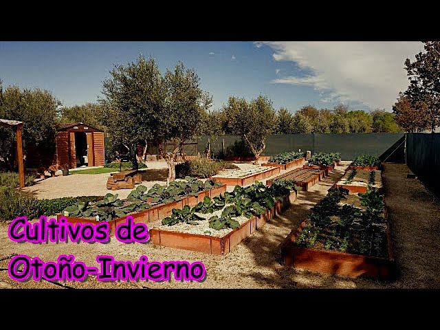 Cultivos De Huertos Familiares De Invierno