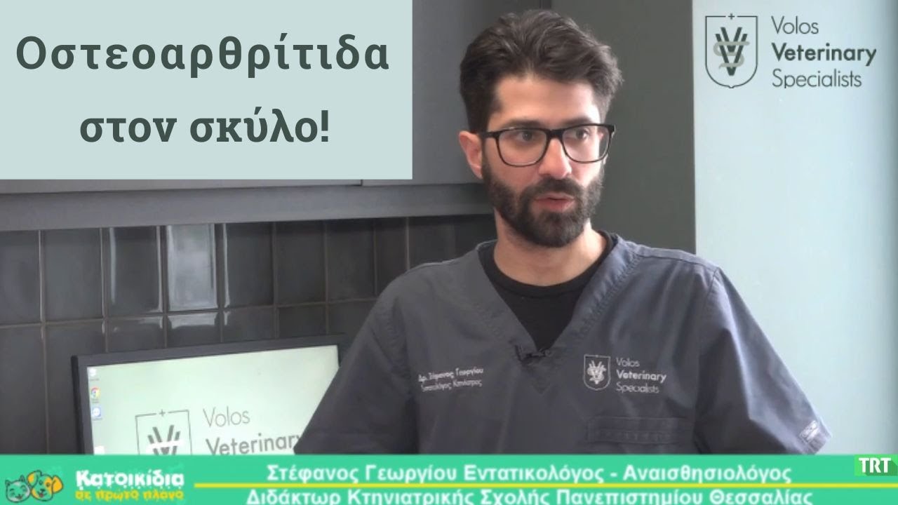 Οστεοαρθρίτιδα σκύλου! Στέφανος Γεωργίου Εντατικολόγος Αναισθησιολόγος ...