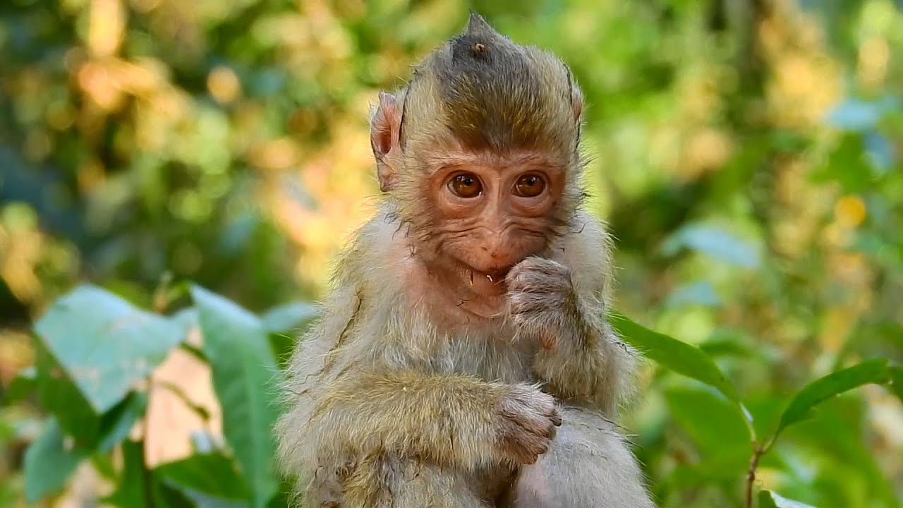 Right Now adorable Rainbow groaning softly to call anyone to give ...