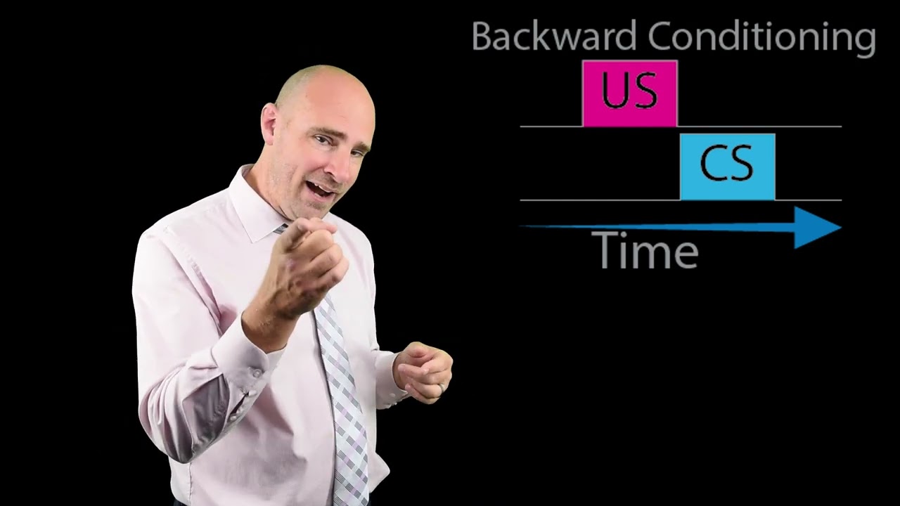Backward Conditioning Procedure - YouTube