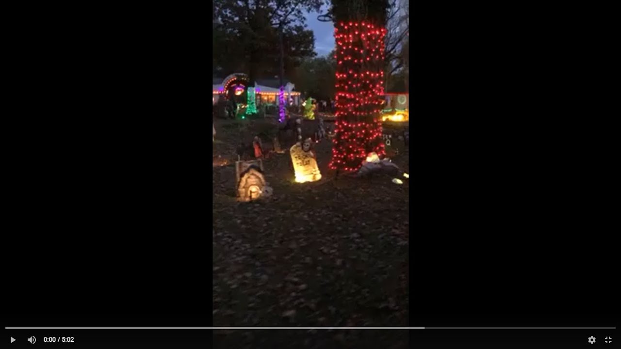 10-30-22a pm Sunday - Eleven Eleven with Jenna Mammina - YouTube