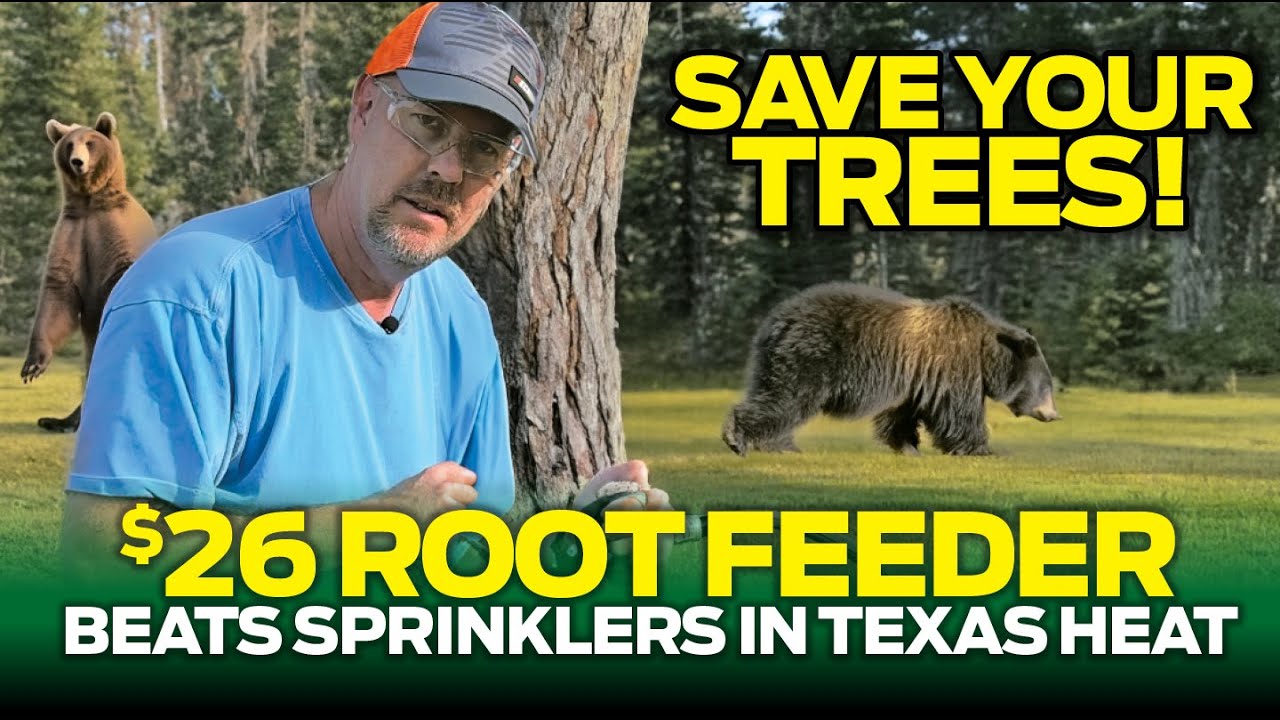 🌳Review of a root feeder that helps deliver water💧 & nutrients direct ...