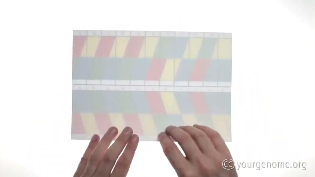 DNA origami: how to fold a double helix - YouTube