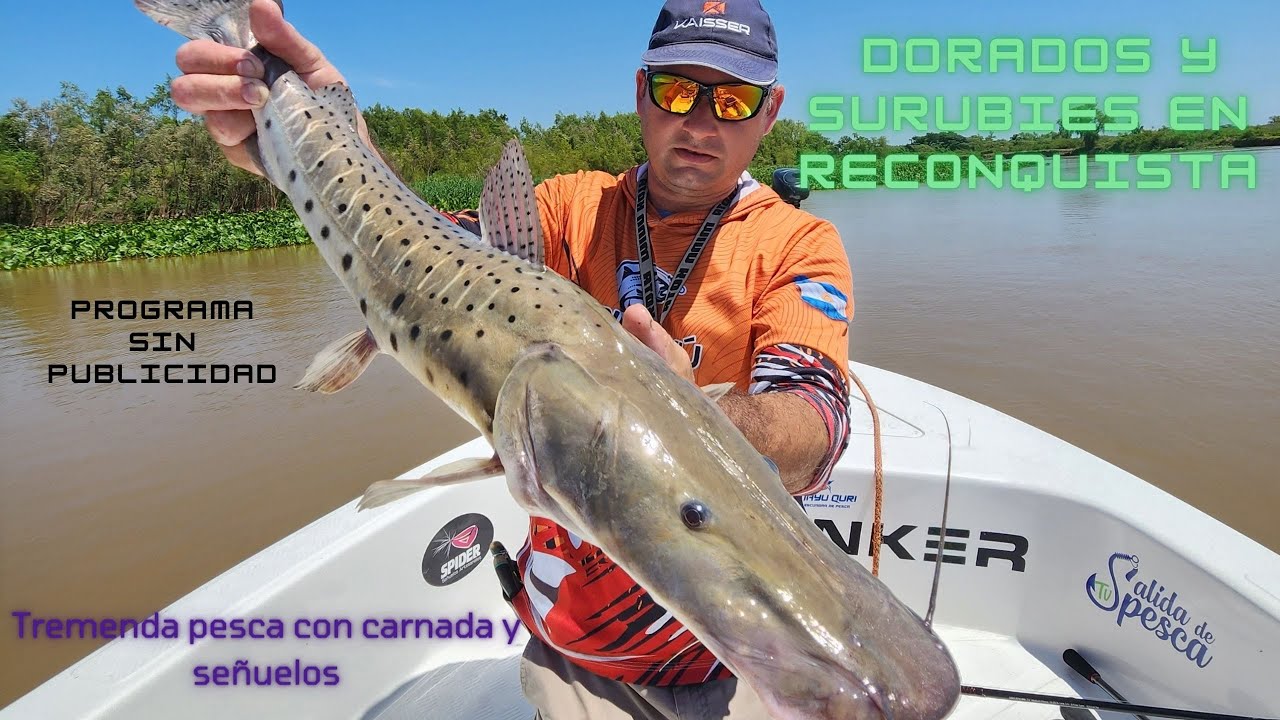 SURUBIES, DORADOS Y UNA TREMENDA PESCA EN RECONQUISTA!!! 1º PARTE - YouTube