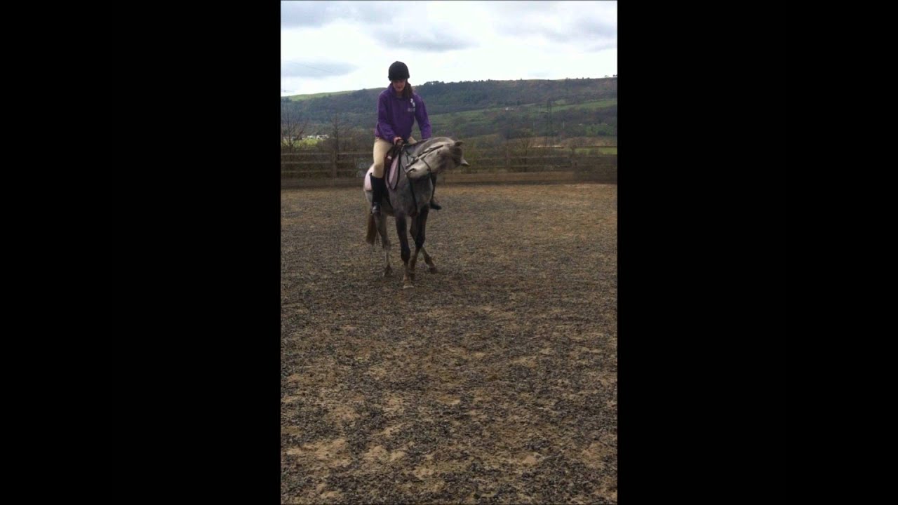 Bad Horse Riding Fall - YouTube