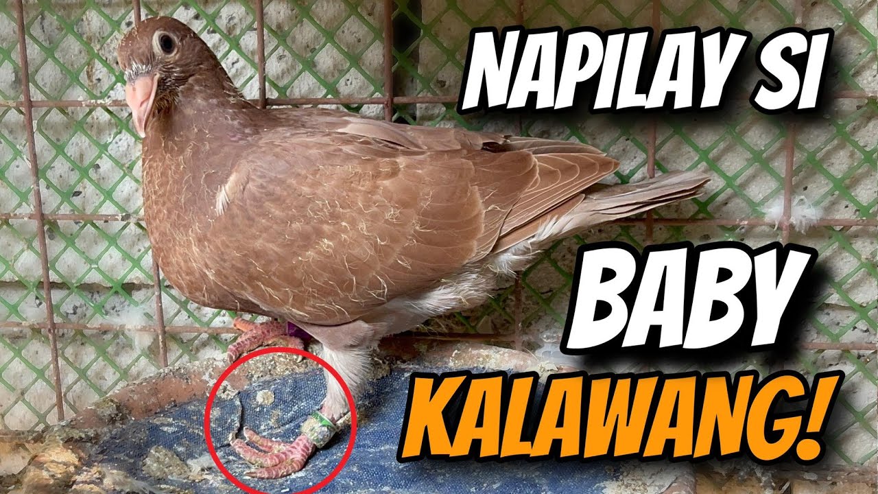 BAGONG WARDEN NG MADLA LOFT TV! 💪💪💪 - YouTube