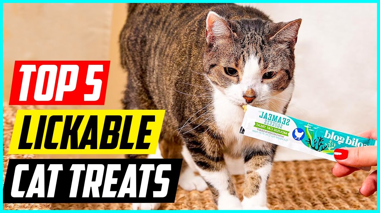 5 Best Lickable Cat Treats for 2024 - YouTube