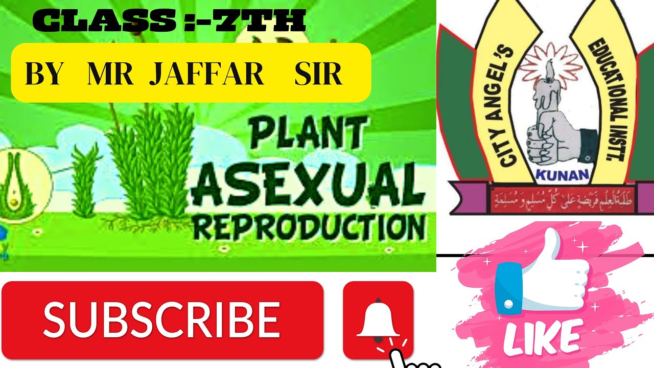 Reproduction in plants class 7th By Mr.JAFFAR SIR .@CITY ANGEL'S SMART ...