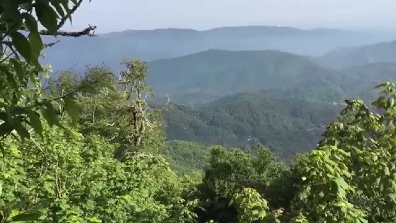 AT Section Hike: Devil Fork Gap to Spivey Gap (Appalachian Trail) - YouTube