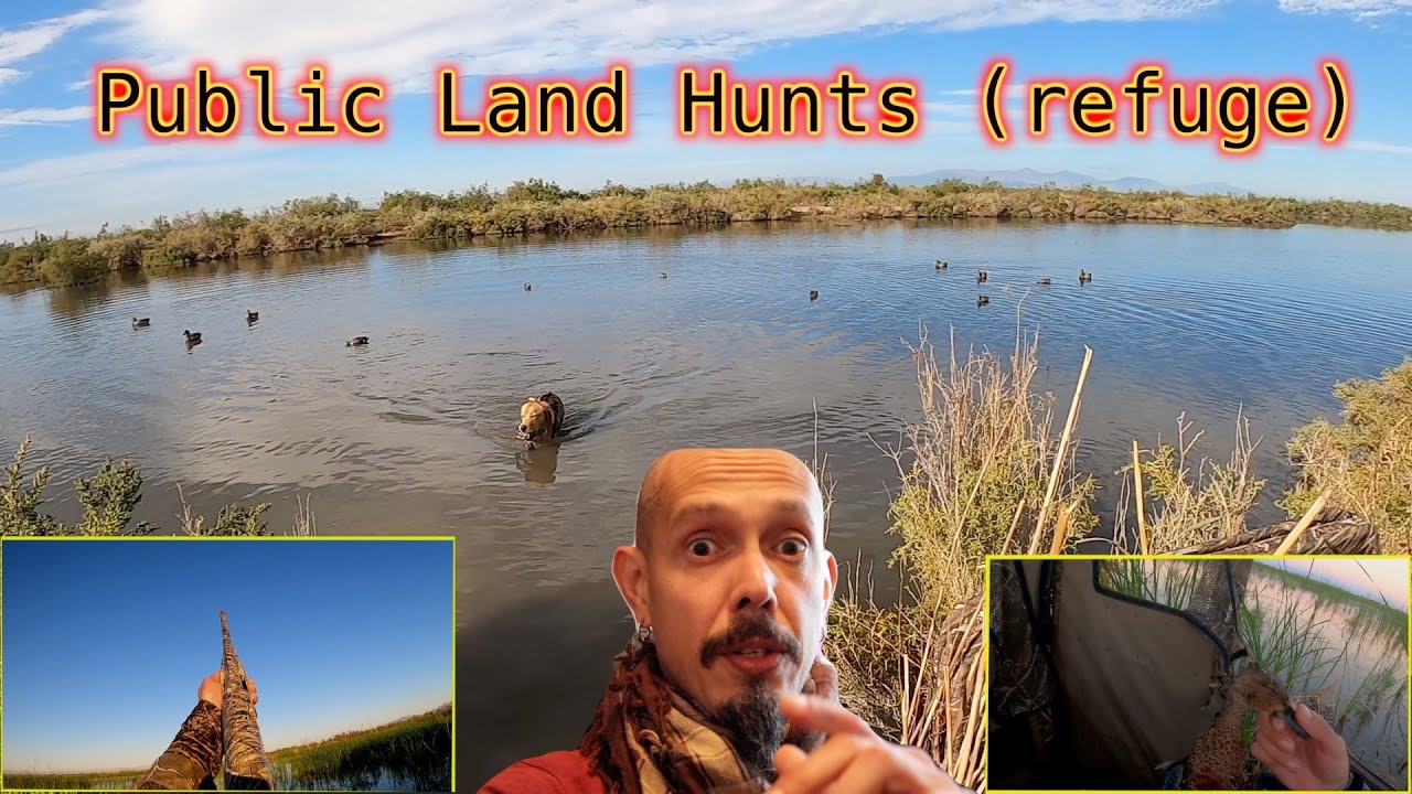 Public Land Duck Hunt (refuge) - YouTube