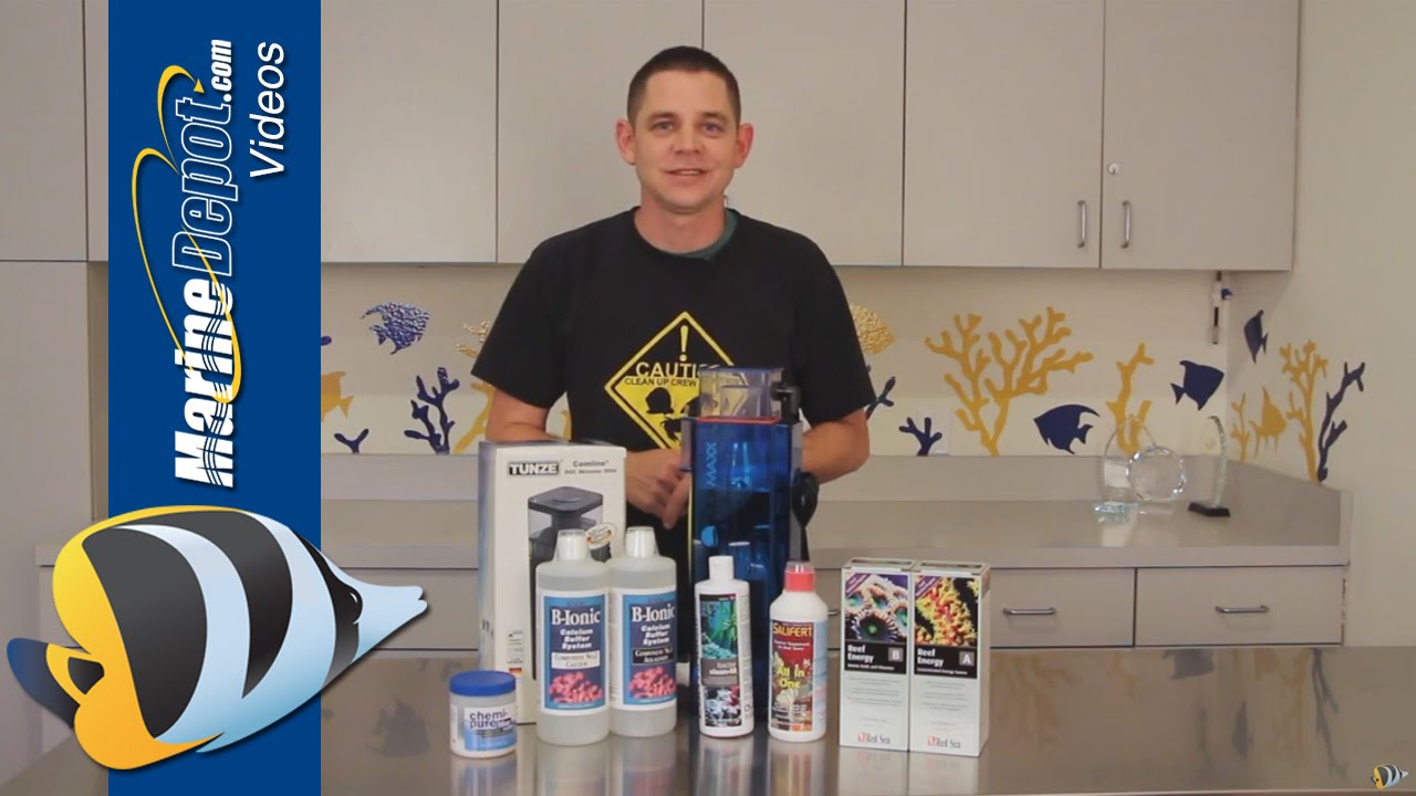 Marine Depot Staff Picks: 7 of our Favorite Aquarium Products - YouTube