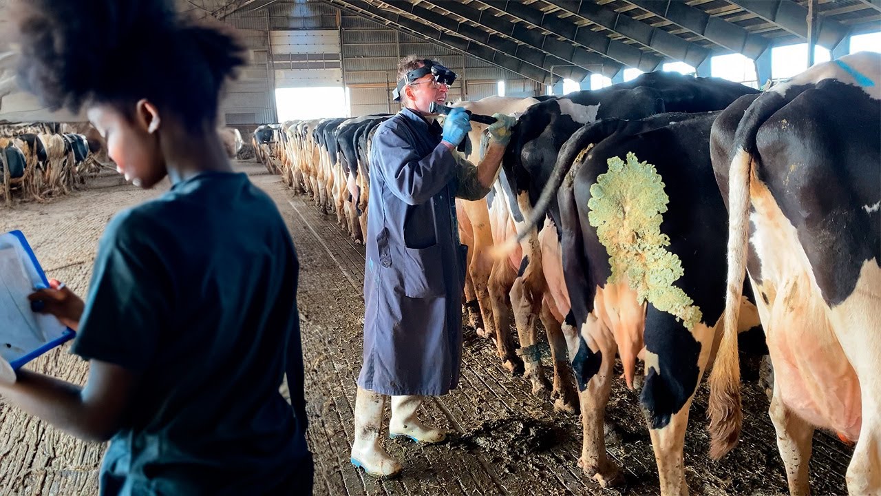 Mind-Blowing Secrets: Inside the Extraordinary Lives of Farm Cows ...
