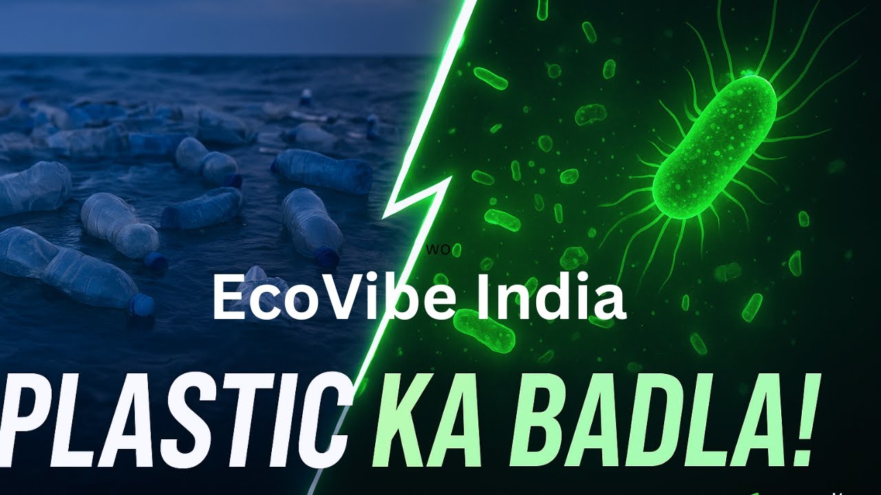 Plastic Ka Badla 🌱 Microbes Eating Plastic Waste | EcoVibe India # ...