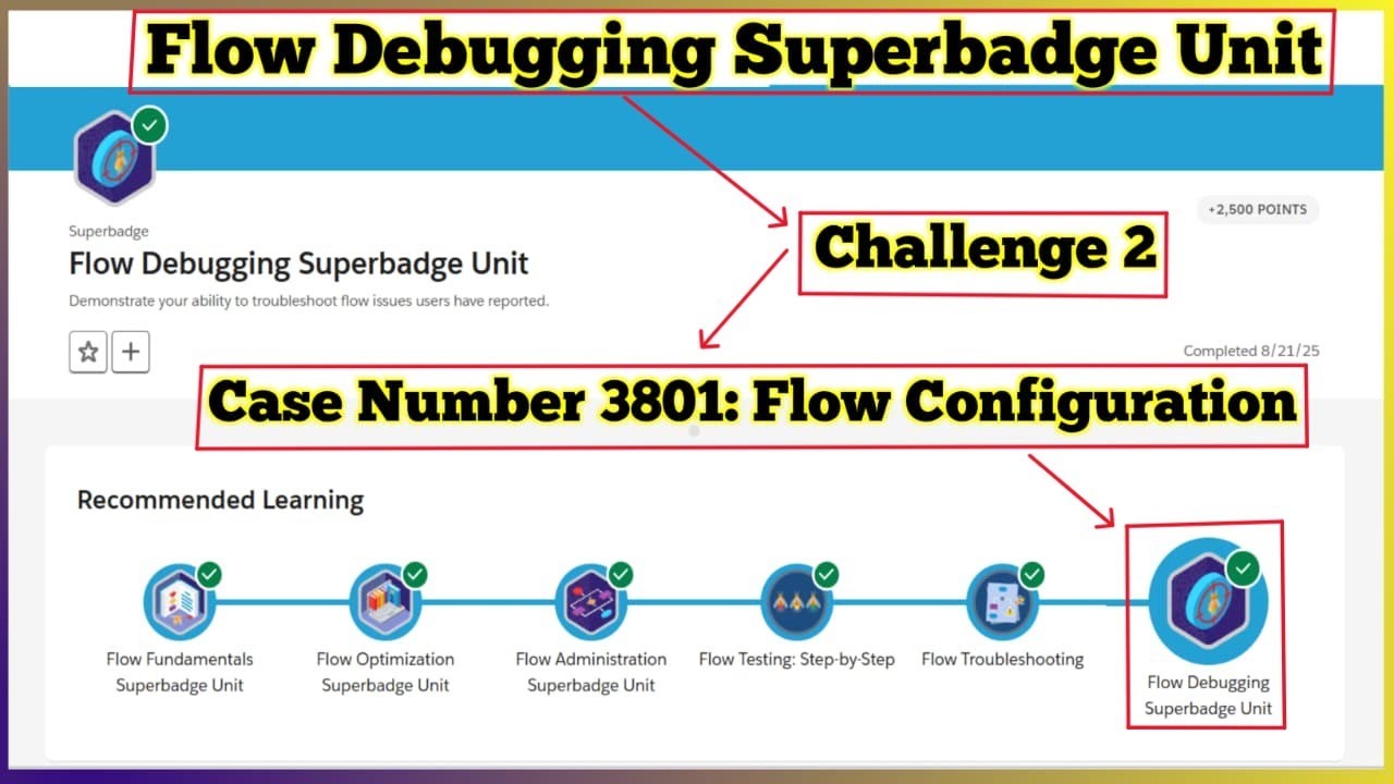 Case 3801 Flow Configuration | Flow Debugging Superbadge Unit ...