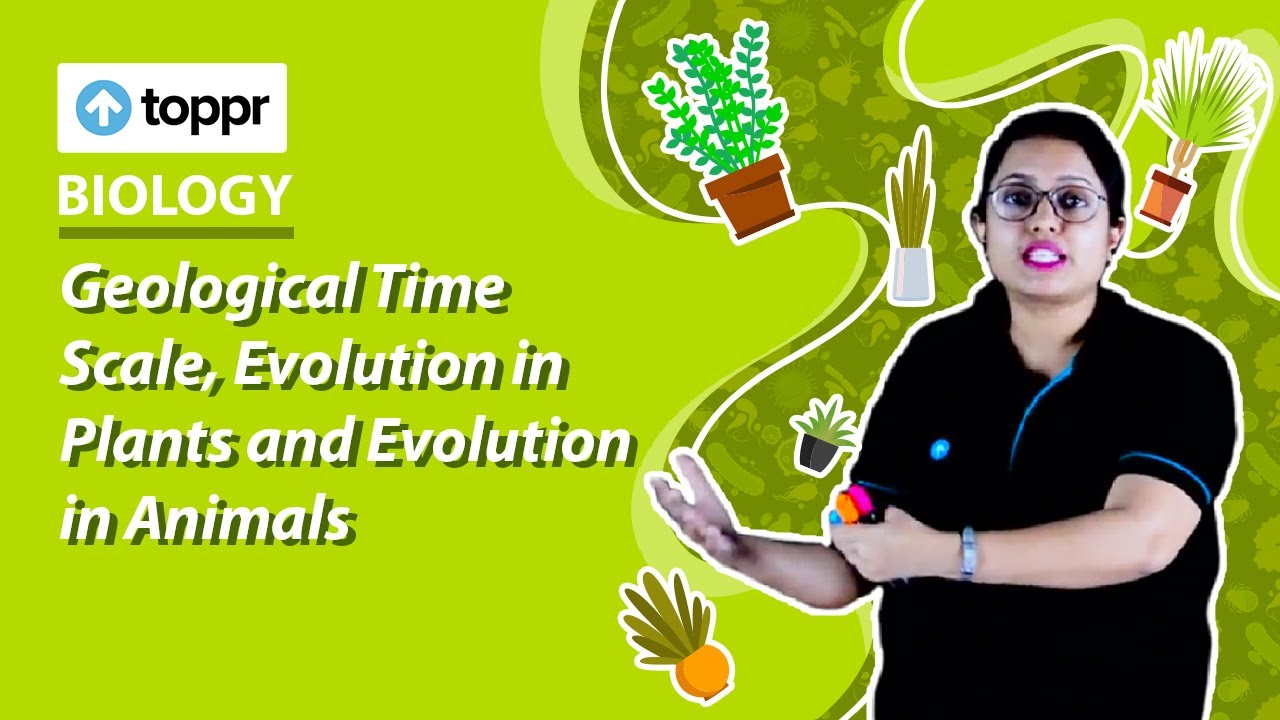 Geological Time Scale, Evolution in Plants and Evolution in Animals ...