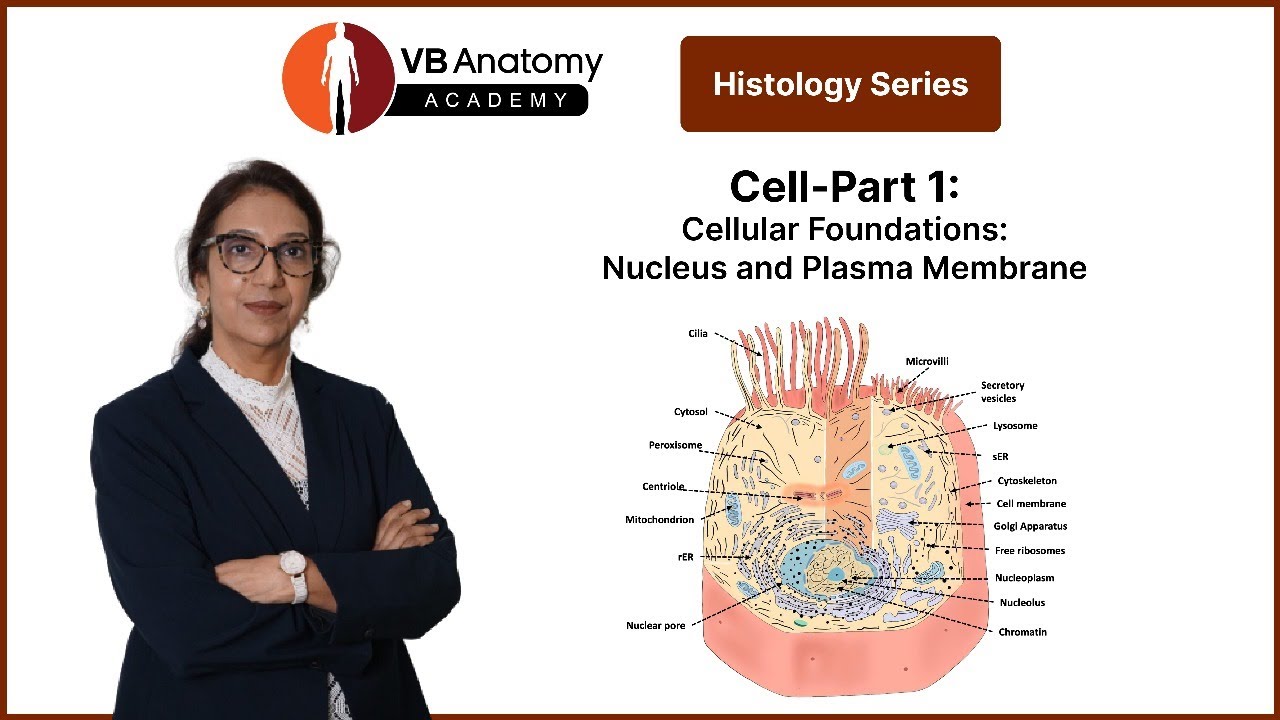 Cell-Part 1: Cellular Foundations: Nucleus and Plasma Membrane - YouTube