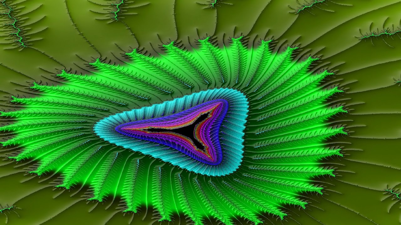 The Tricorn - A Fractal Zoom [1080p 60fps] - YouTube