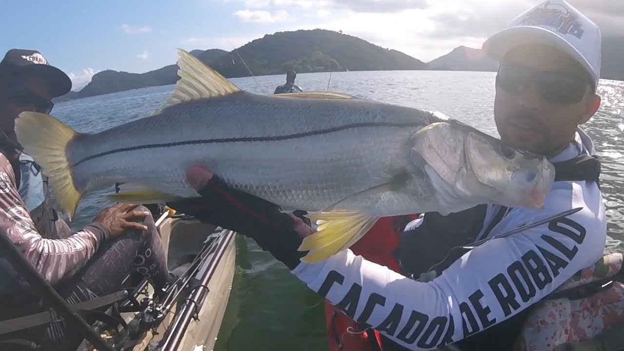 ROBALO FLECHA (Artur Duarte) - YouTube