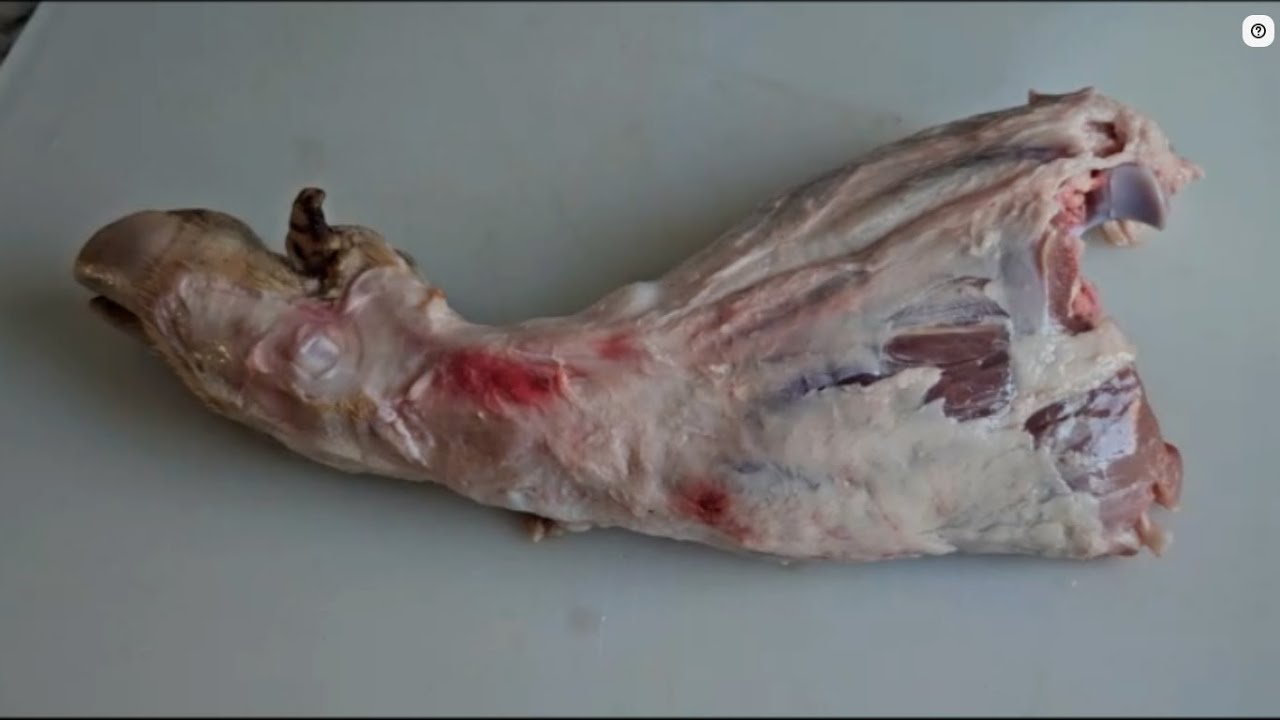 Pig's Leg Recipes - YouTube