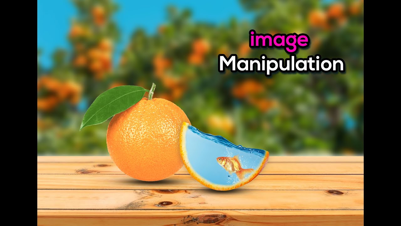 Photo manipulation । Fish Manipulation । Orange manipulation ...