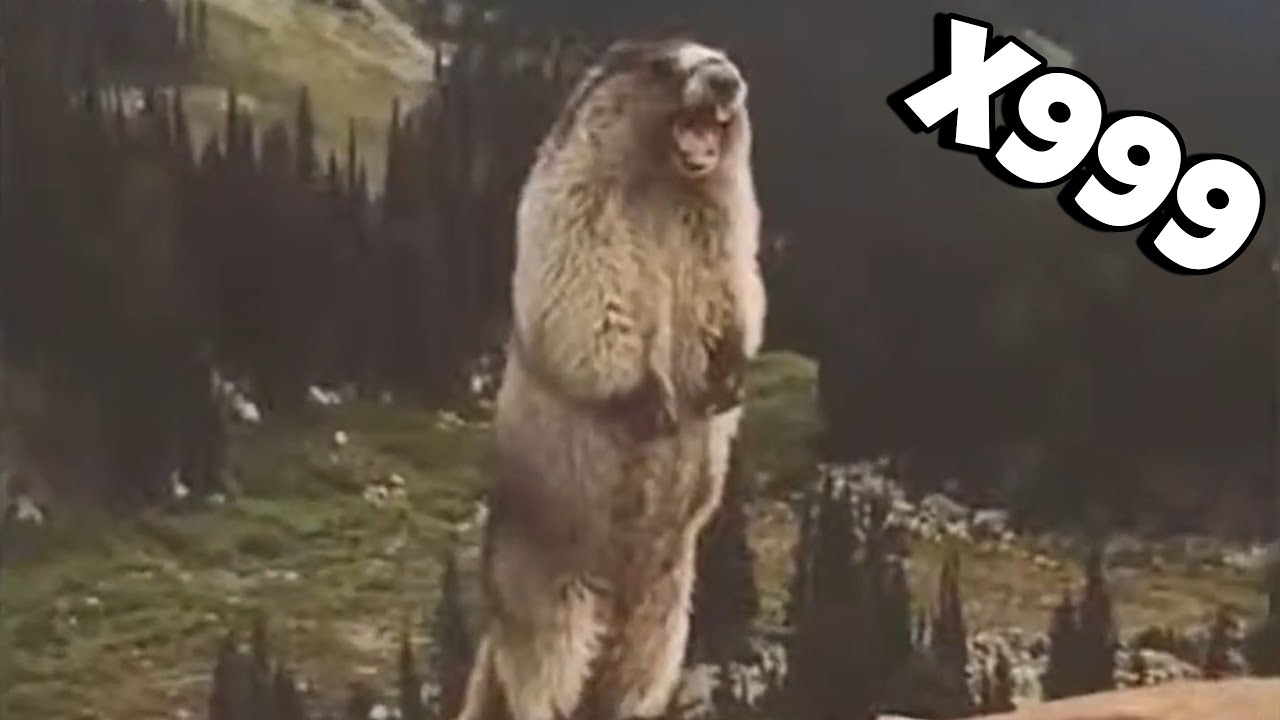 Badger Screams Meme - Speed X999 - YouTube