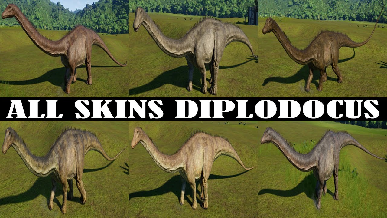 ALL SKINS DIPLODOCUS | JURASSIC WORLD EVOLUTION - YouTube