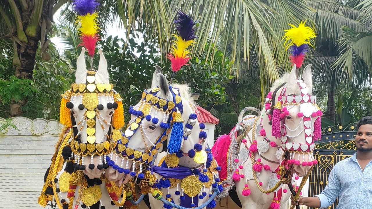 Kowdiya Drums 🥁 Marriage Program Avanam 🦄 Vsm Dancing Horses 🐎 அனைத்து ...