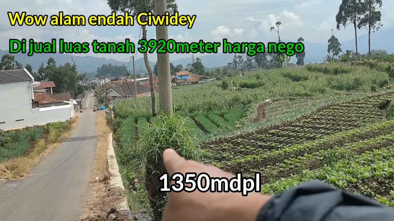 Desa alam Endah Sejuk Bikin Betah ada Tanah luas 3920 Mau di jual murah ...
