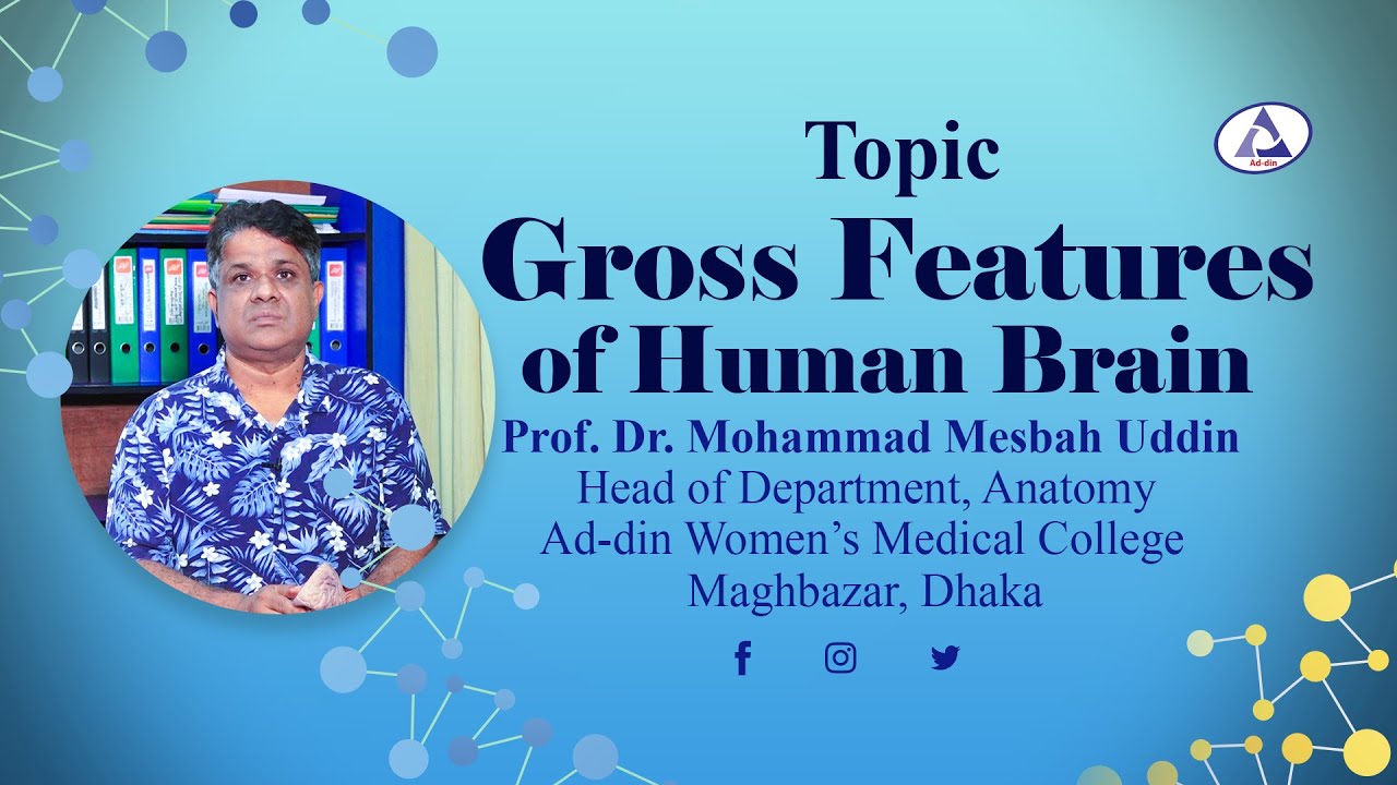Gross Features of Human Brain | Prof. Dr. Mohammad Mesbah Uddin | Head ...