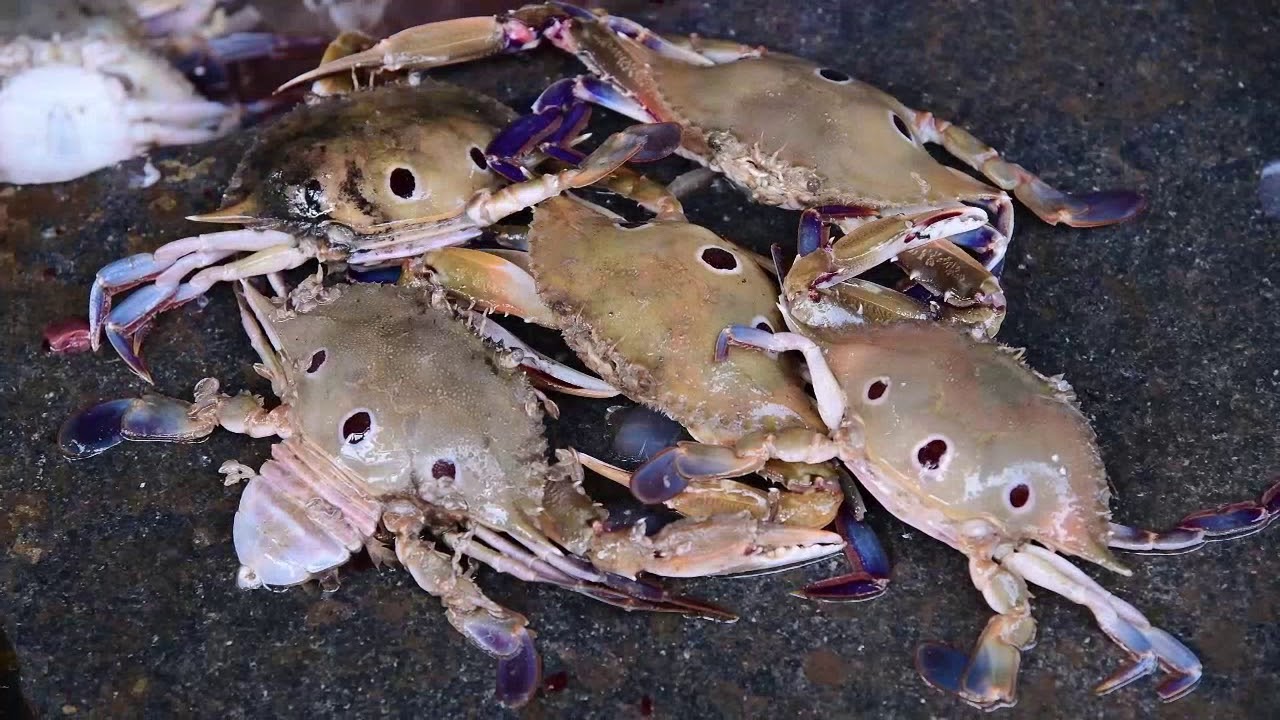 Amazing Crabs(peetalu) cleaing and cutting By Woman|Crabs cutting ...