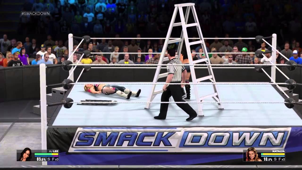 WWE Divas - Cat Fight - YouTube