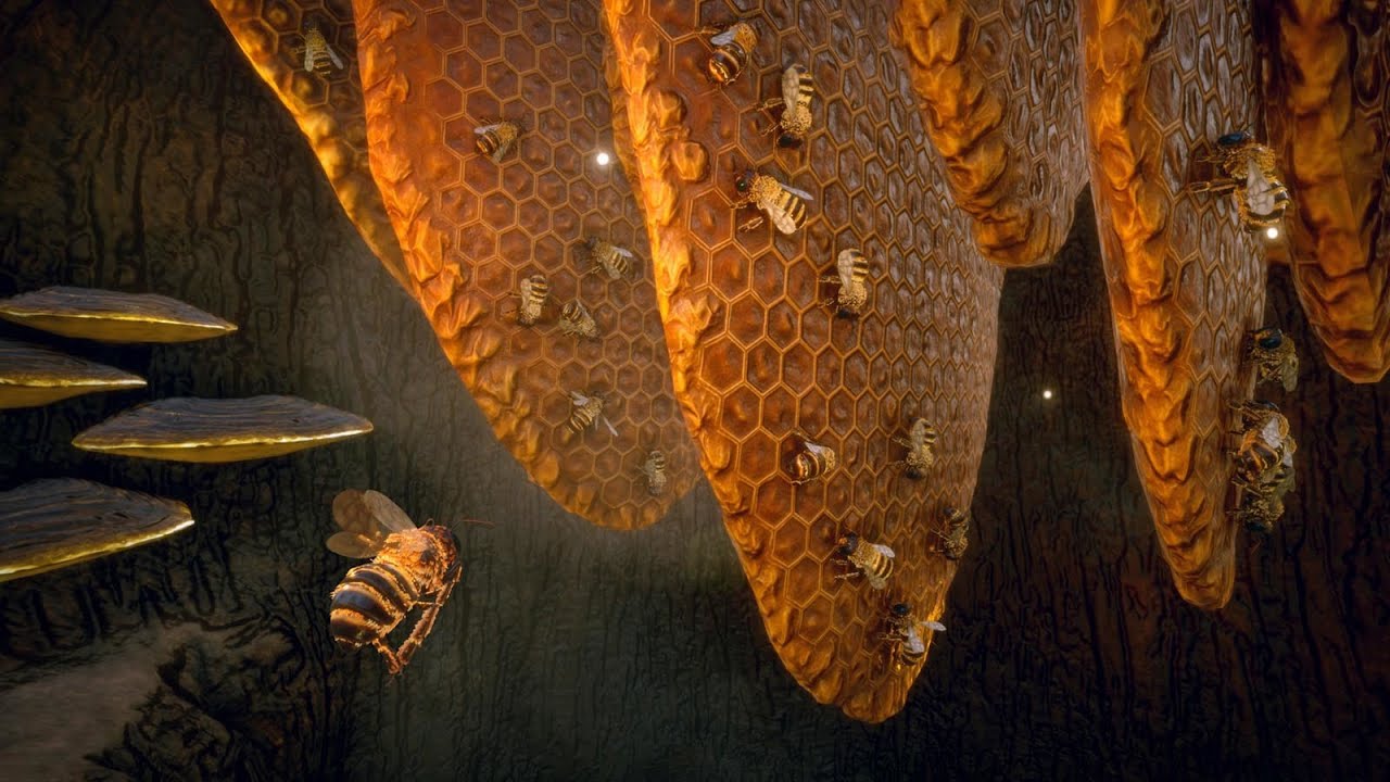 BEE SIMULATOR Gameplay 03 ( PS4 SLIM ) Trouver une autre Ruche FIN ...