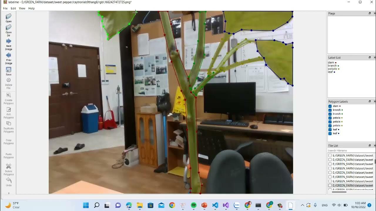 Using Labelme to label image for semantic segmentation neural network training and convert to ...