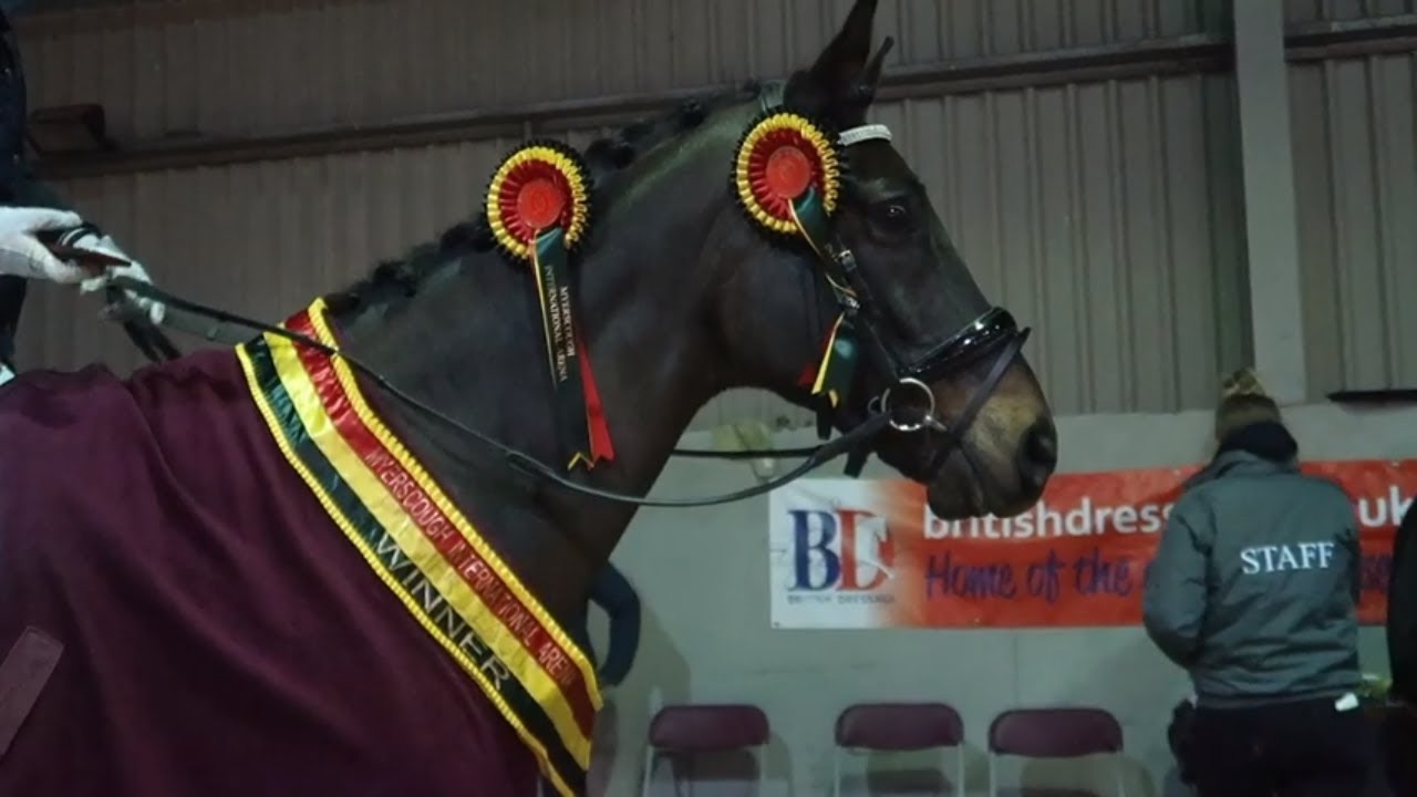 DOUBLE WIN FOR WILFRED (Day Three) | OT VLOG - YouTube