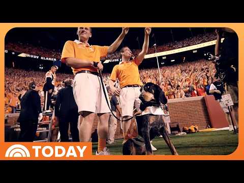 Inside the Making of University of Tennessee’s Mascot