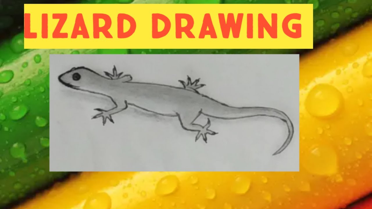 How To Draw A Lizard,Chipkali Very Simple step - YouTube