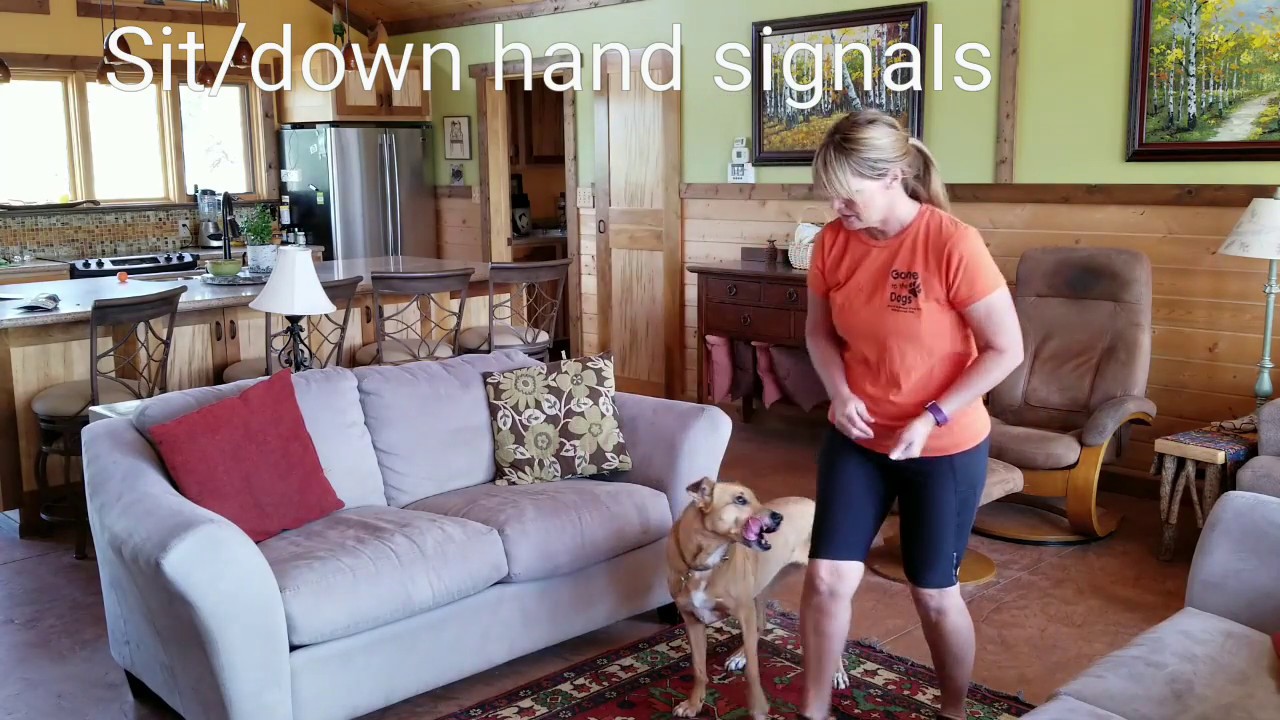 Sit/down Hand signals only - YouTube