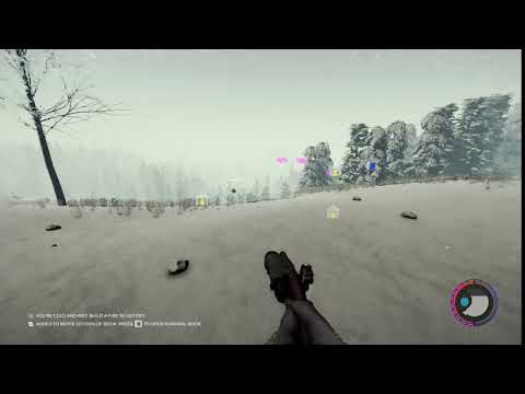 Mike Flies - YouTube