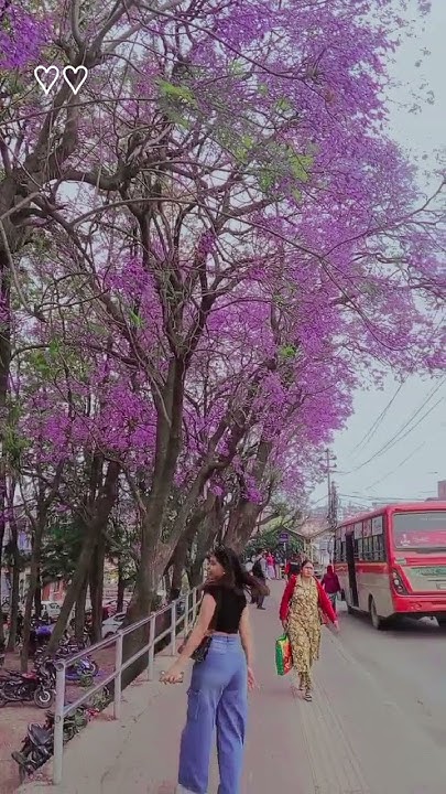 tamang ni kanxi 🥰 - YouTube