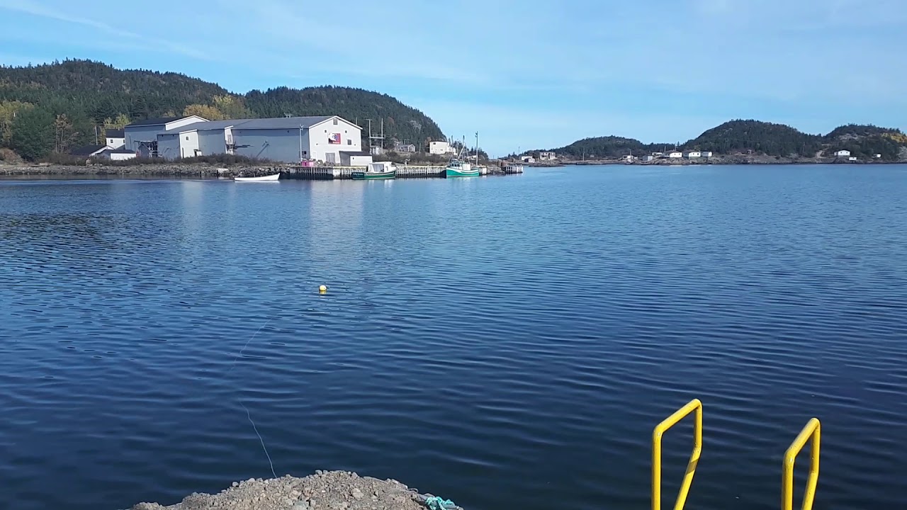 A old fashioned Newfoundland motor boat in an outport community - YouTube