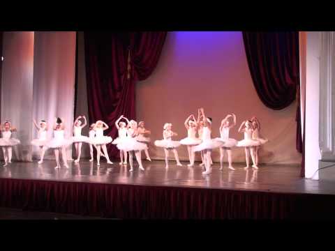 Kuğu Gölü İZDOB 2013