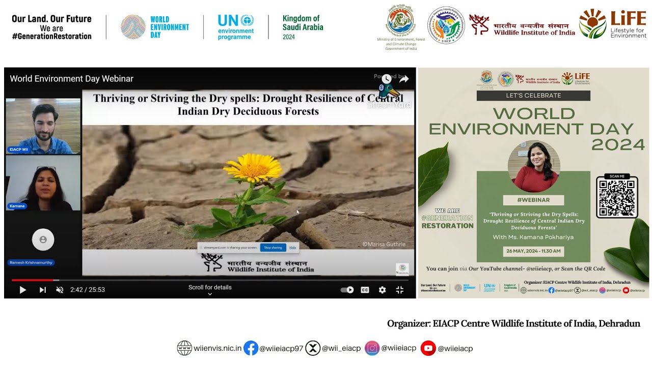 World Environment Day Webinar - YouTube